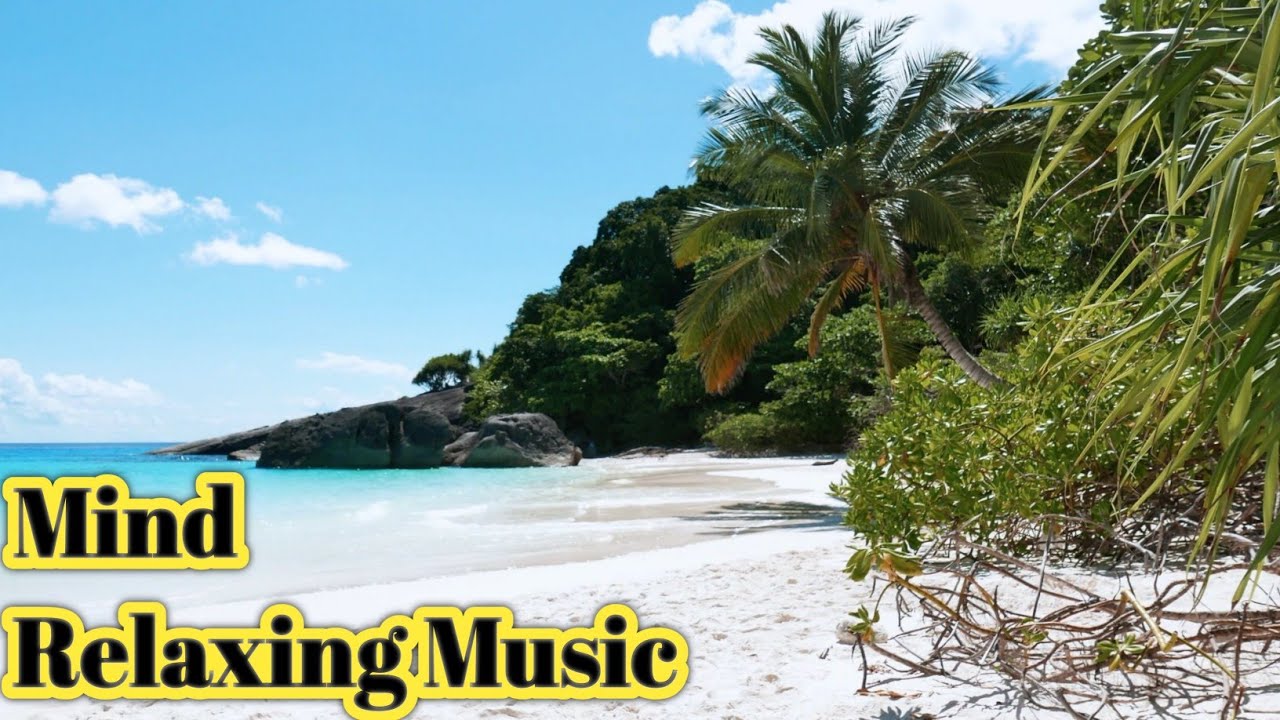 #135: mind relaxing music for stress relief I music for stress relief ...