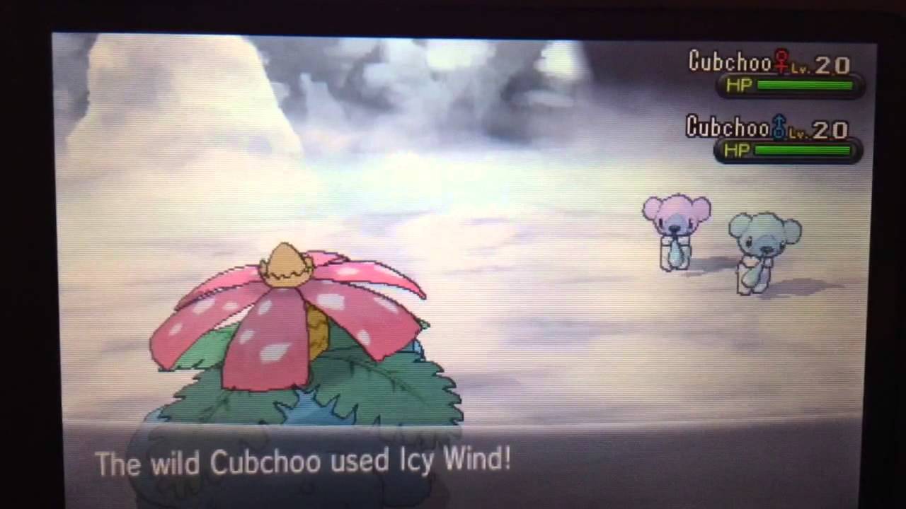 LIVE Shiny Cubchoo - YouTube