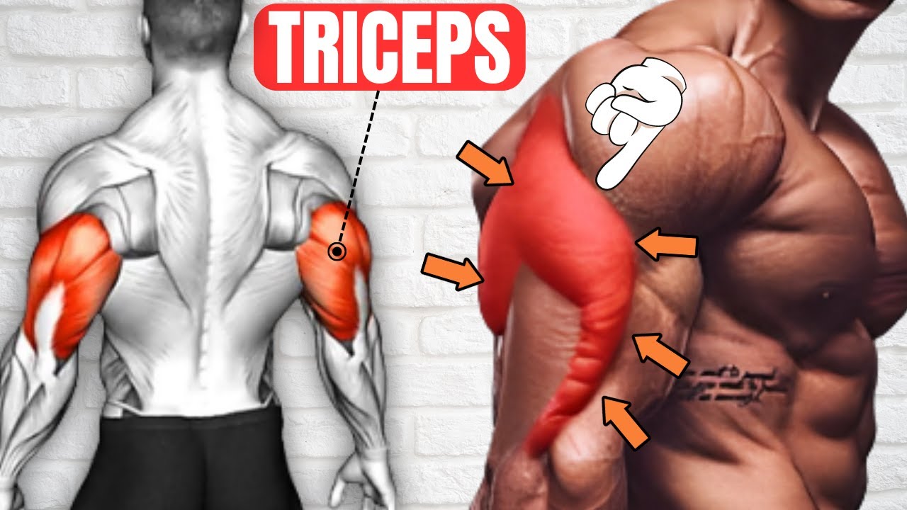 BUILD BIGGER TRICEPS FAST🔥💪💯 || BEST TRICEPS EXERCISES || TRICEP ...