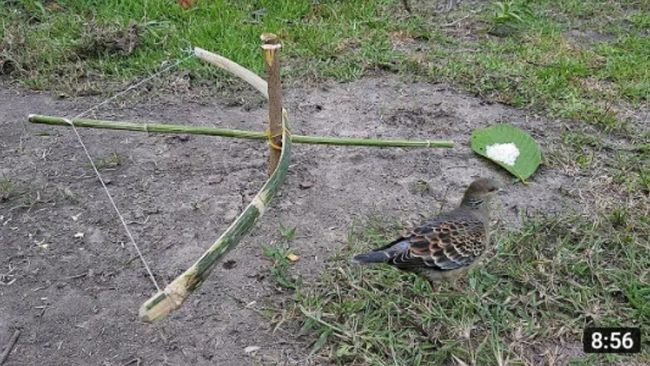 HOW TO MAKE #BIRDS #TRAP/JINSI YA KUTENGENEZA MTEGO WA NDEGE - YouTube