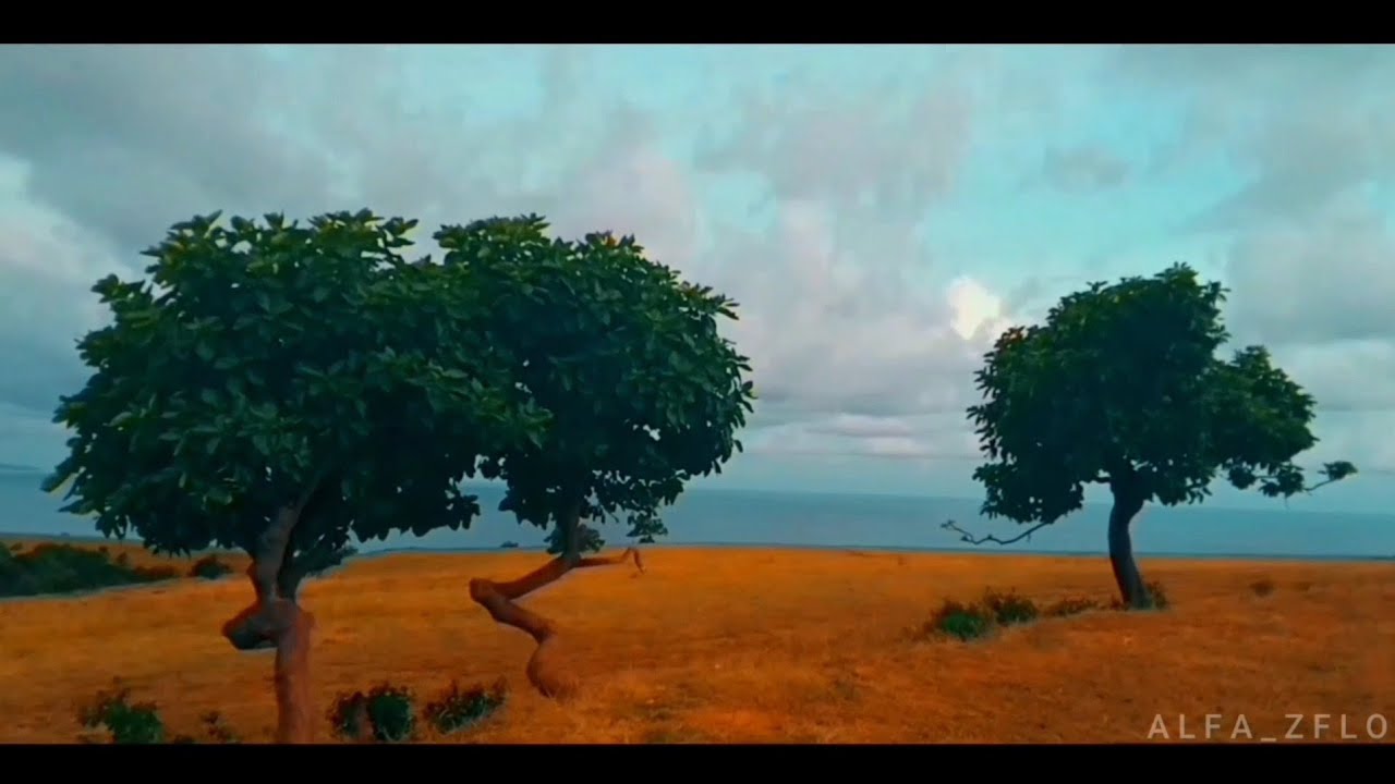 Padang Mausui surganya Manggarai Timur - YouTube