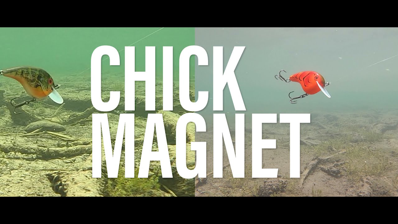 Strike King Chick Magnet Flat Sided Crankbaits - TackleDirect