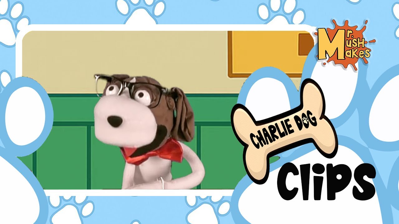 Fall Food Festival Chaos! 🍂😴 Charlie Dog & Friends got too Much Food ...
