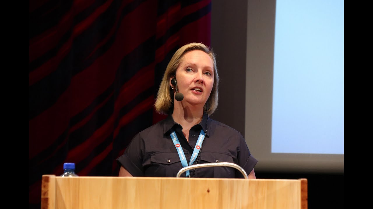 2023-07-04 Hilde Restad «Den demokratiske krisen USA står i nå og veien ...