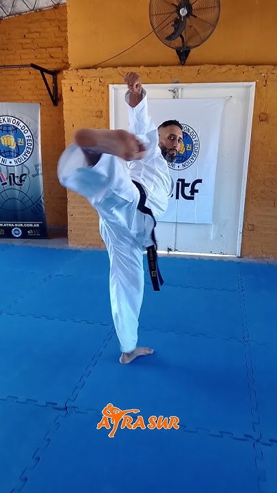 Entrenamos con Marco Oga 🥋 La onda en las formas del Taekwondo ITF #atrasur - YouTube