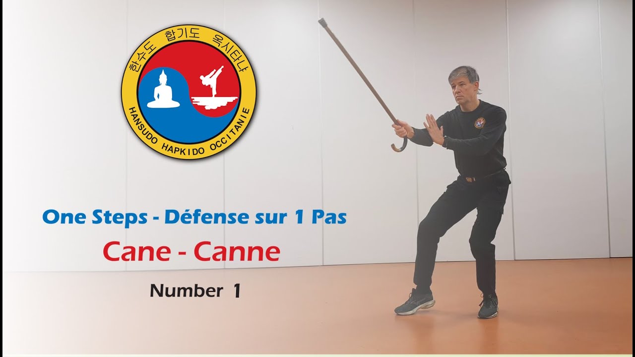 Cane One Steps #1 - Canne Défense sur 1 pas N°1 - YouTube