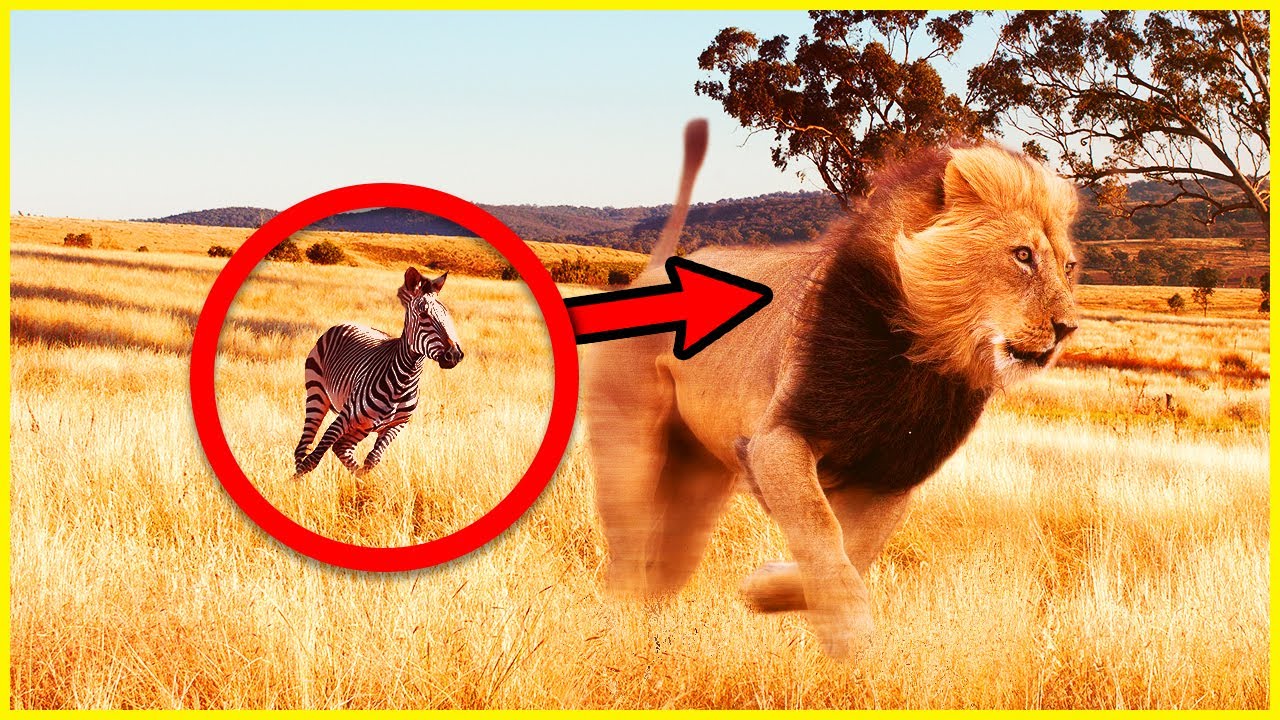 10 IMPOSSIBLE SITUATIONS BECAME POSSIBLE - YouTube