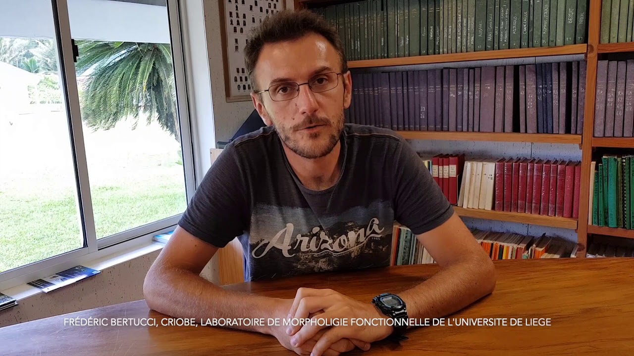 Frederic BERTUCCI - CRIOBE - YouTube