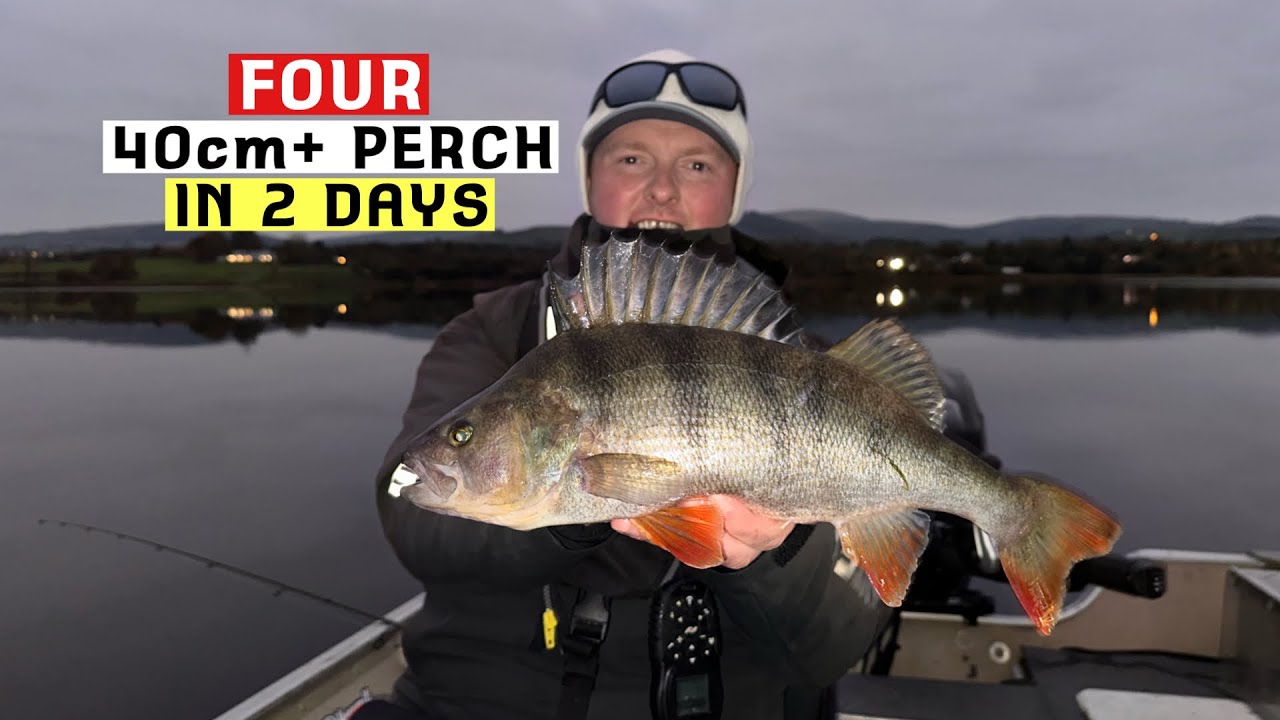 Fishing in Ireland with Lures for Big Perch | Ultimate Guide to ...