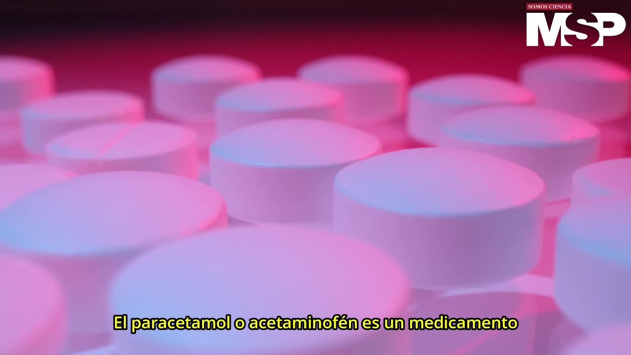 ¿CÓMO FUNCIONA EL PARACETAMOL O ACETAMINOFÉN? - #ExclusivoMSP - YouTube