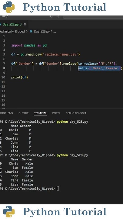 Replacing Values In A Pandas Dataframe | Python Tutorial - YouTube