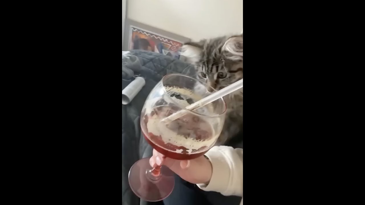 Best Fails 2022 - YouTube