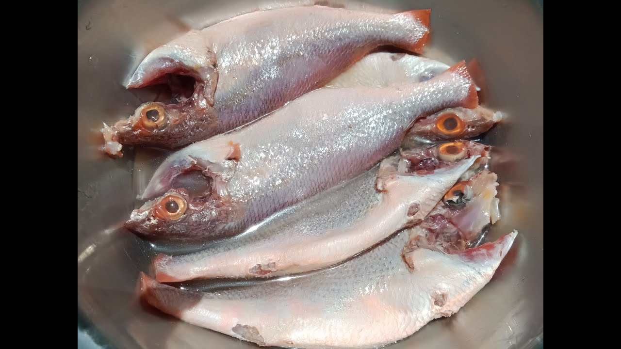 Delicious tasty BHOLA FISH Curry Recipe - YouTube