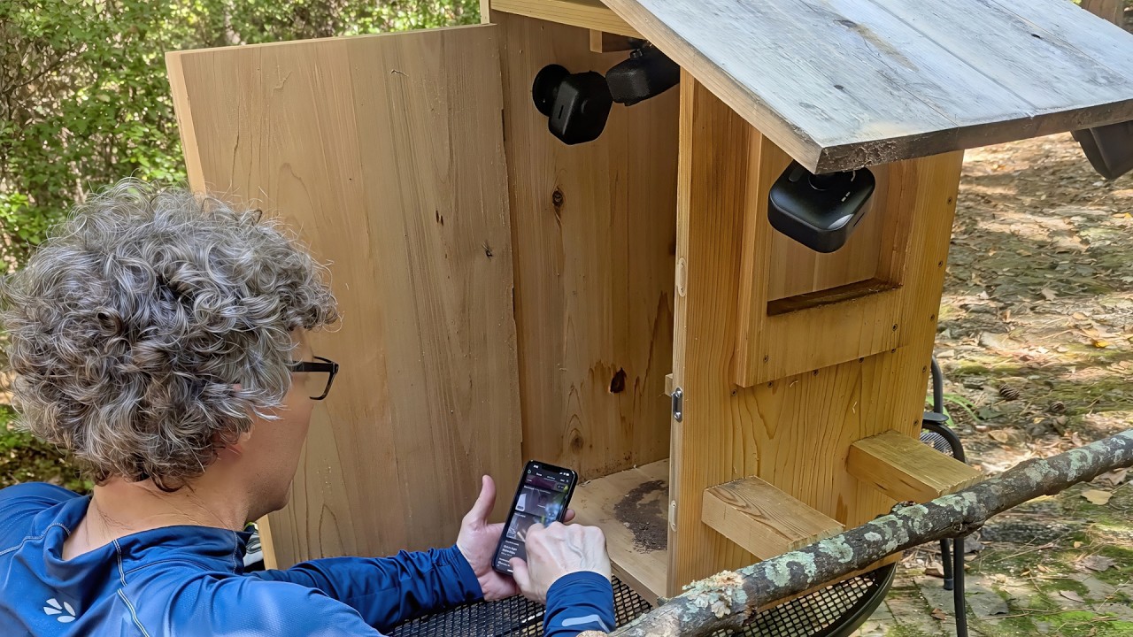 We Added a Perch to the Barred Owl Nest Box - YouTube