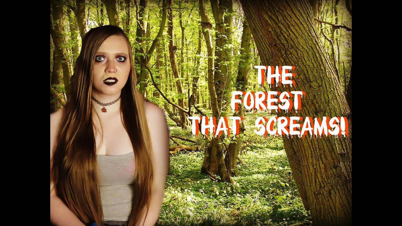 The Dering Forest - YouTube