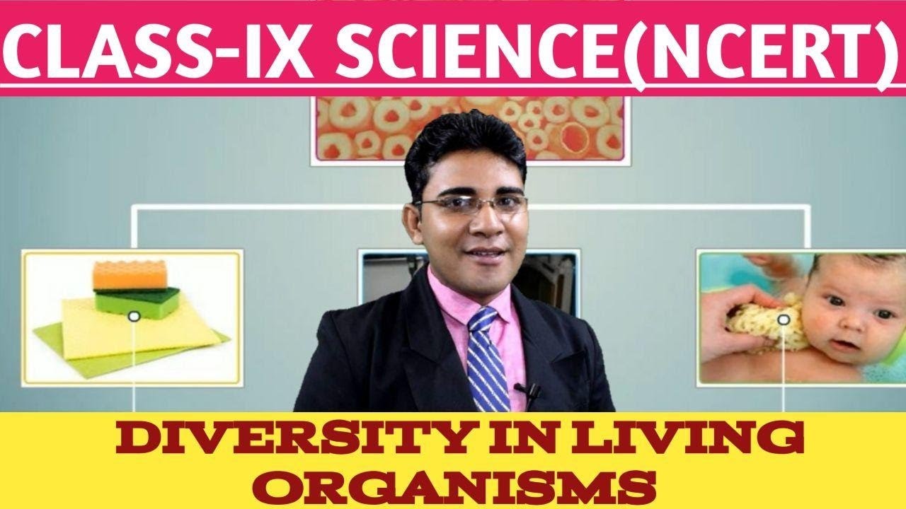 Diversity in Living Organism Part-5 | CBSE Class IX Science (Biology) Chapter 7 | NCERT ...