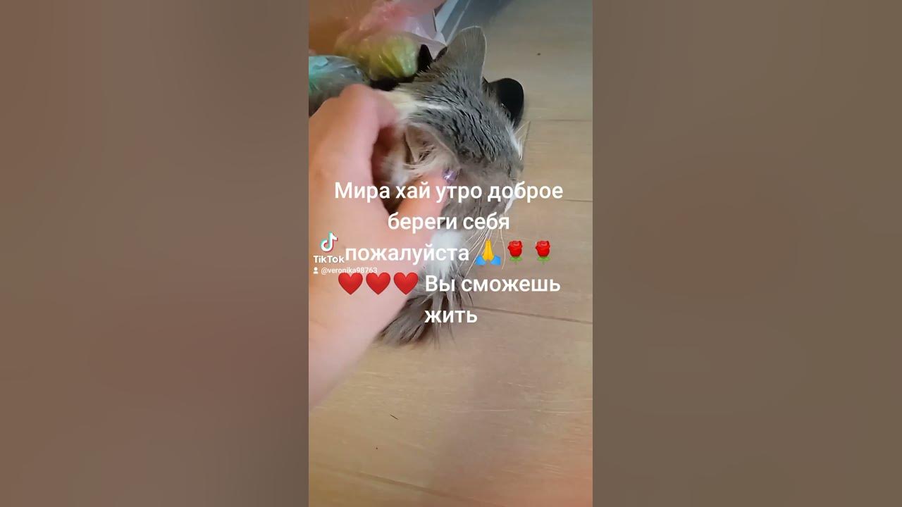 коструля (2) - YouTube