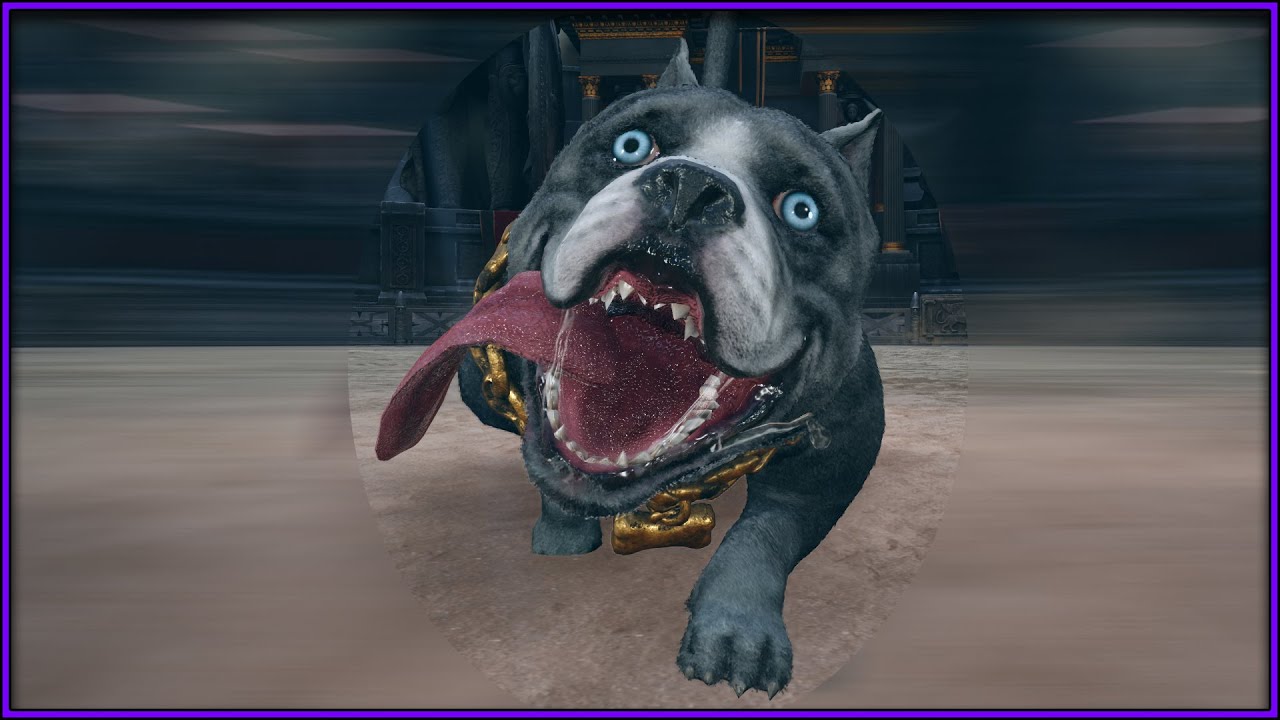 How To Win In Tekken 8 Using Leroy Dog, SUGAR! - YouTube