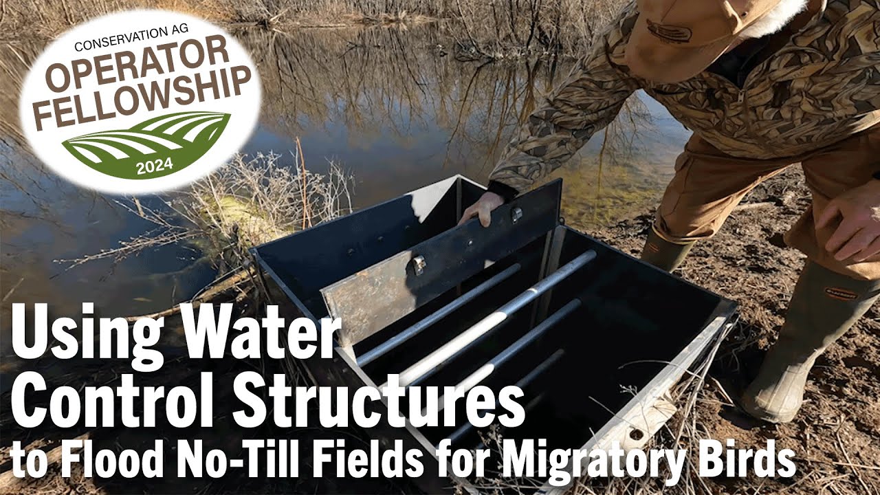 Using Water Control Structures to Flood No-Till Fields for Migratory ...