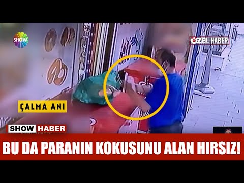 Bu da paranın kokusunu alan hırsız!