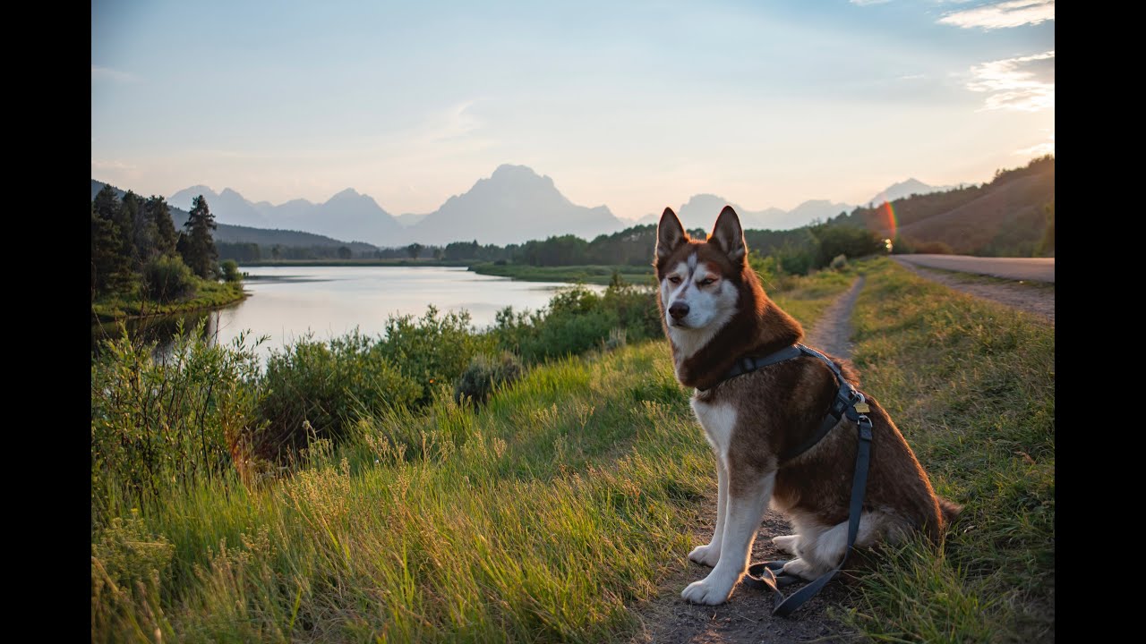 This is Chess. Not Checkers - YouTube