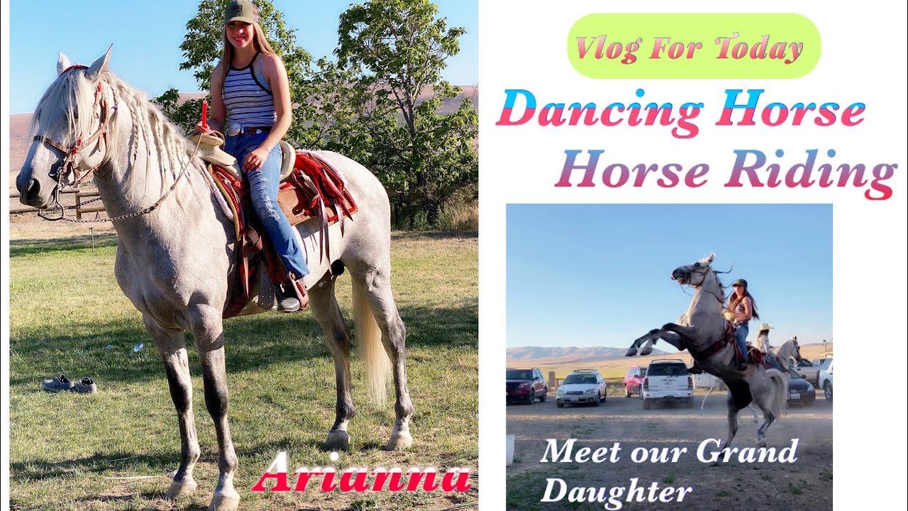 DANCING HORSE & HORSE RIDING - YouTube