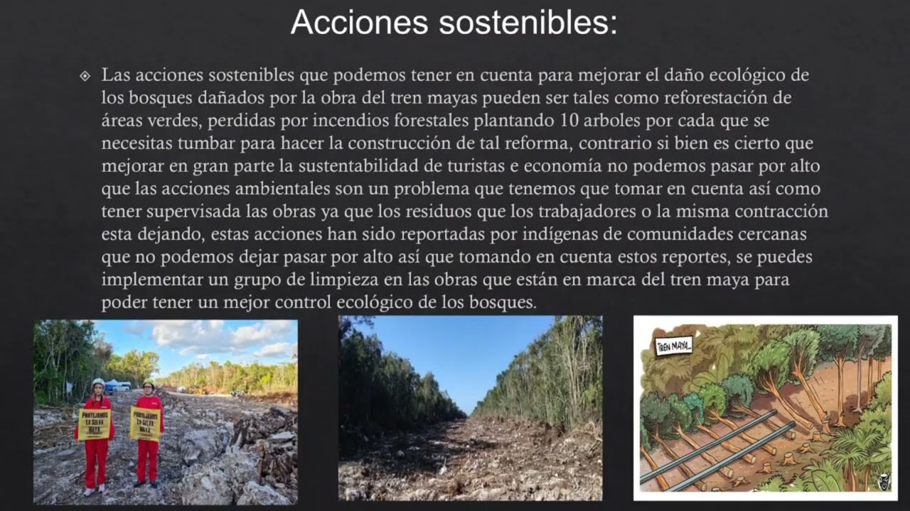 Proyecto Integrador. Agente verde - YouTube
