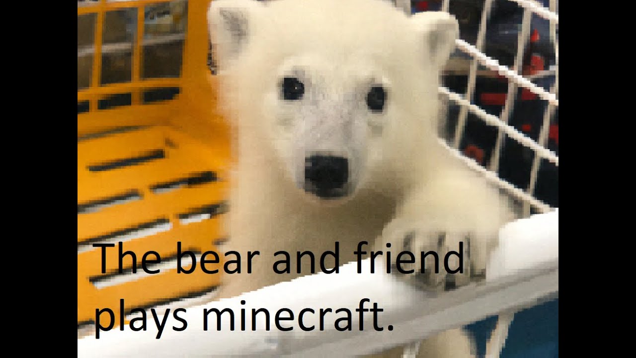 The Baby bear and friend plays skyblock in minecraft. - YouTube