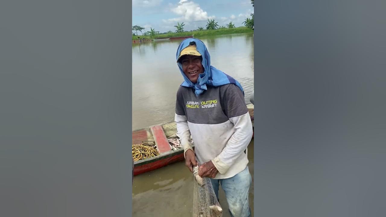 Subienda en caimito sucre - YouTube