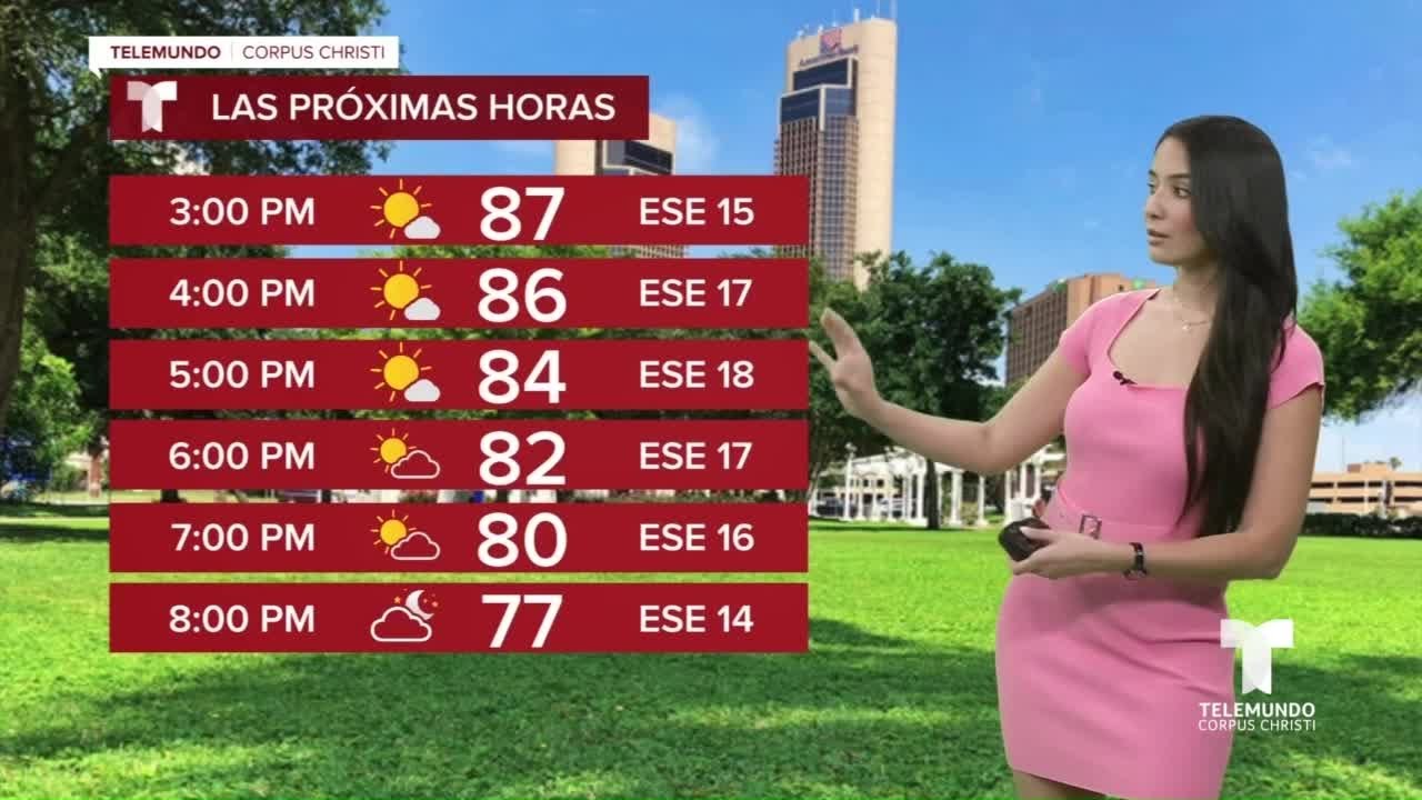 Zuleika Soler Telemundo Digital 4.19 - YouTube