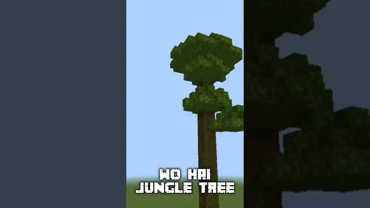 What Is The Rarest Tree In MINECRAFT YouTube what-is-the-rarest-tree-in-minecraft-youtube