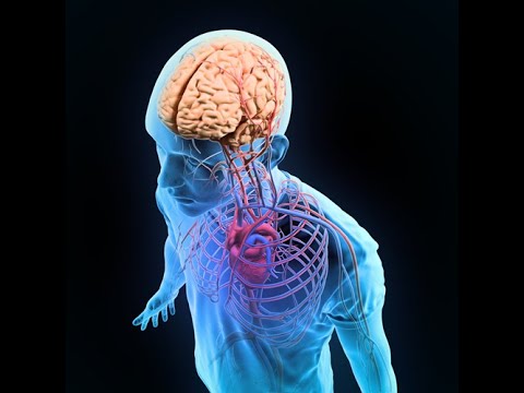 TriMethylGlycine (TMG), Methylation, and Heart Health - YouTube