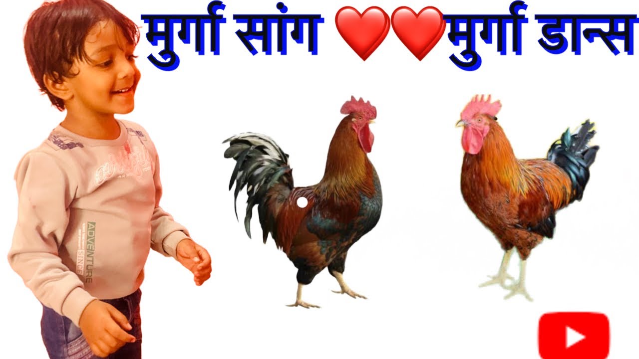 murga dance||murga song||murga dance 2023 - YouTube