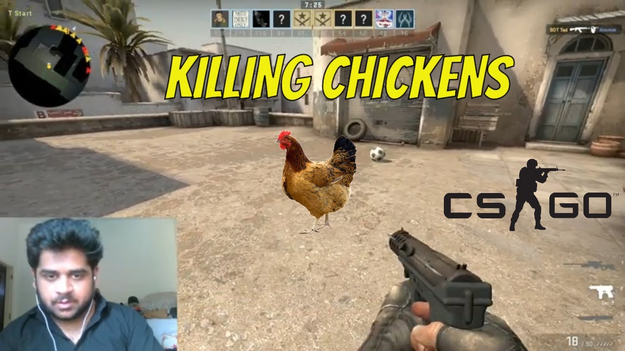 Killing Chickens in CS:GO - YouTube