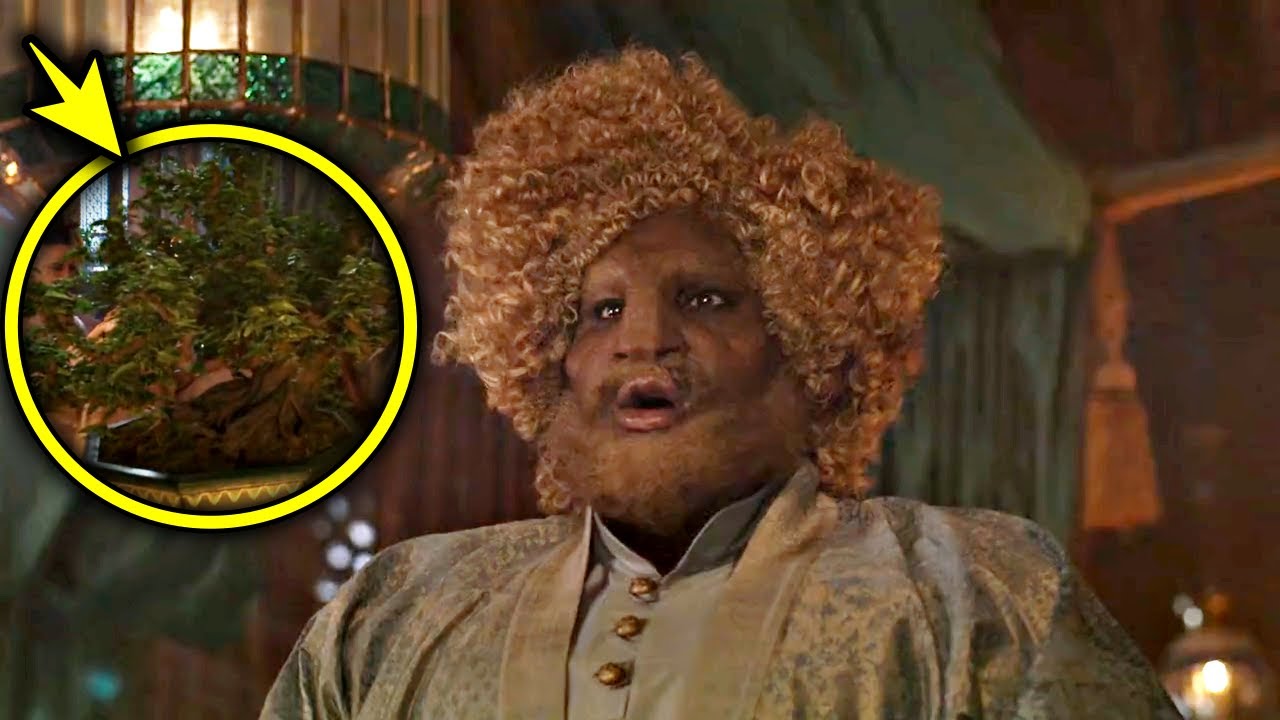 Unraveling Mysteries: Loial Song and Tree-singers in Wheel of Time ...