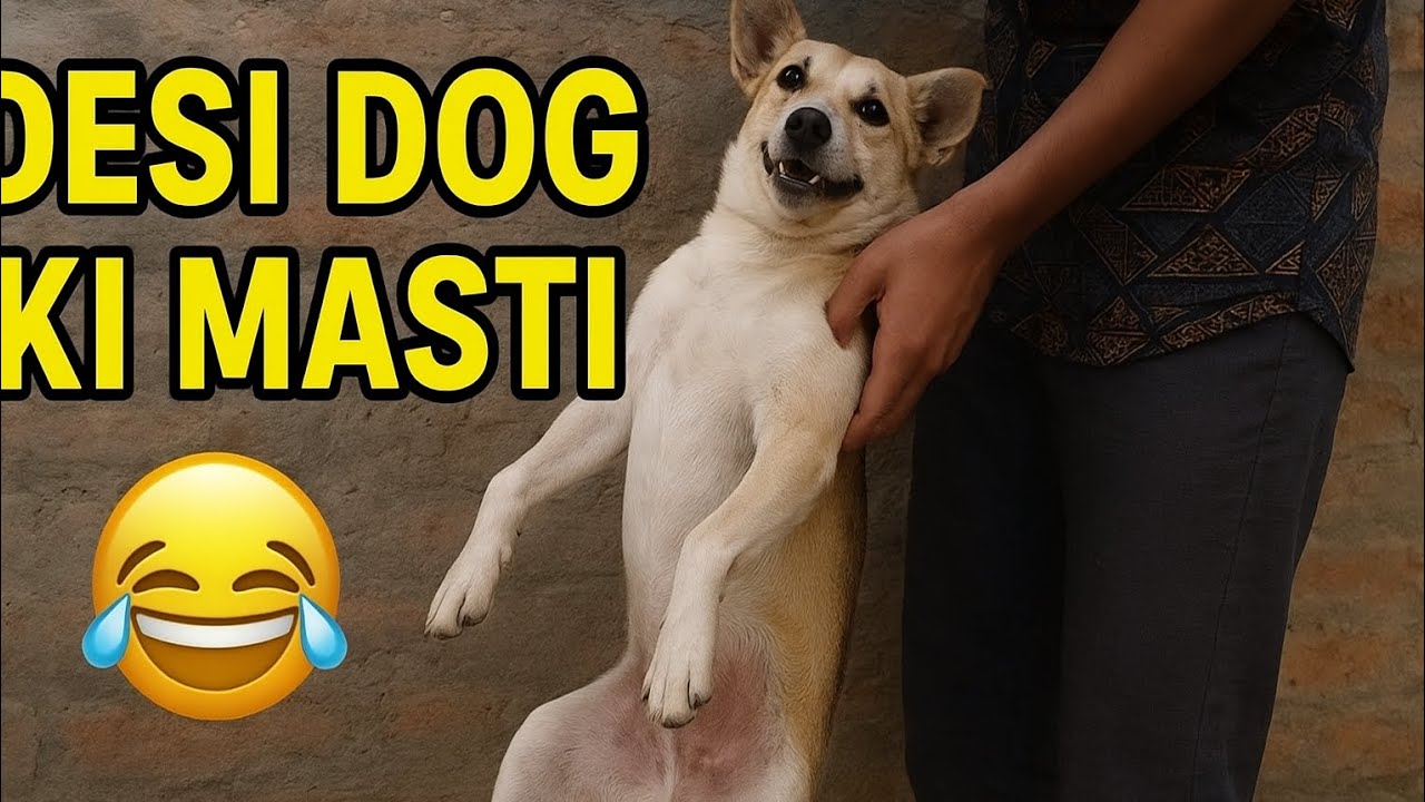 Desi Dog Ki Masti 😍 | Funny Indian Dog Video | Village Dog Comedy ...