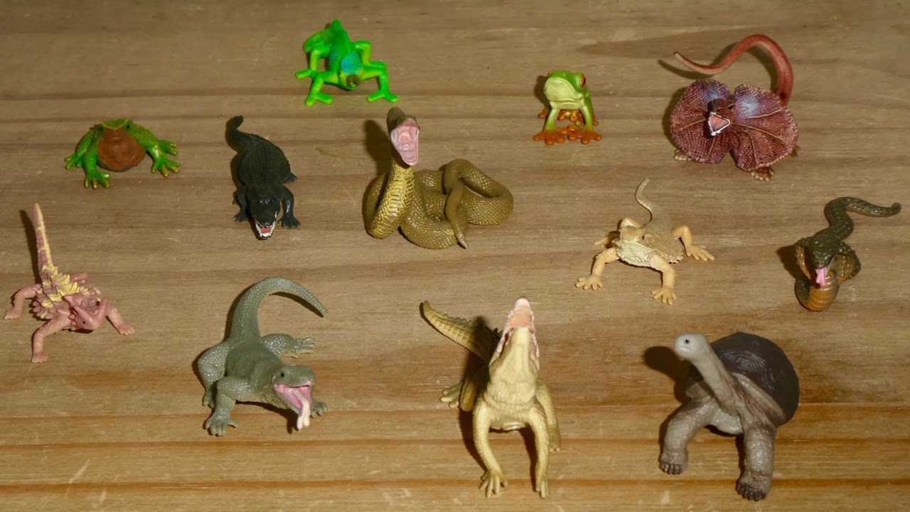 65. Collecta Mini Reptiles Review - YouTube