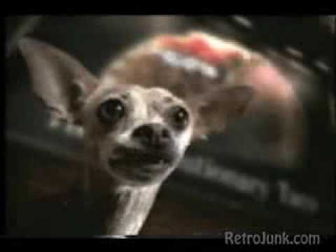 Gidget the Chihuahua - Taco Bell Commercial(Taco Revolution) - YouTube