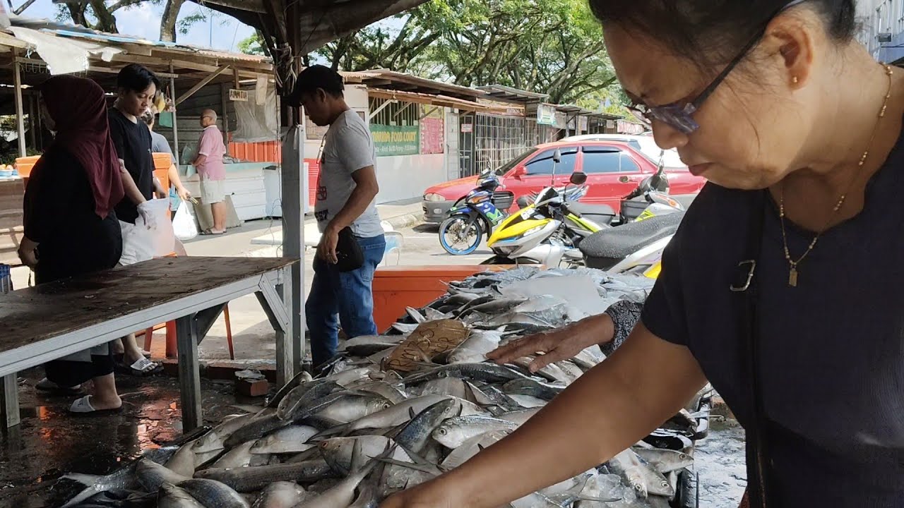 BELI IKAN DI WAN WAN IKAN SEGAR MALIHAH // MURAH² & FRESH - YouTube