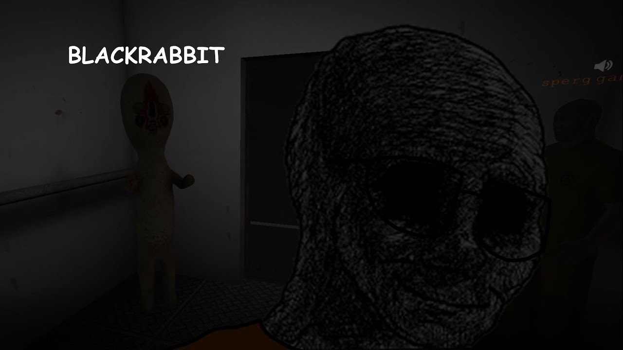 SCP Containment Breach Multiplayer Played By Monkeys On Typewriters ...