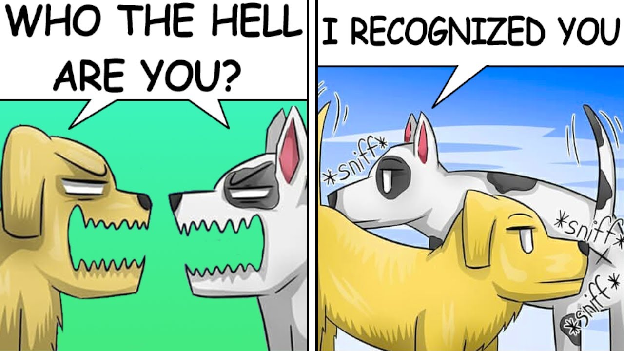 Funny Comic Dub That Make You Say Hol' Up #20 | Webcomic Dub - YouTube