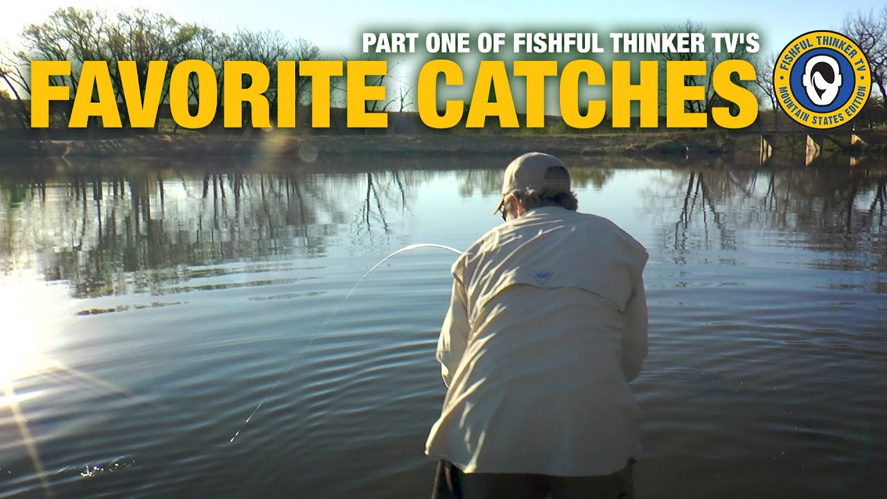 Fishful Thinker TV's Favorite Catches, part 1 (fishing highlights) - YouTube