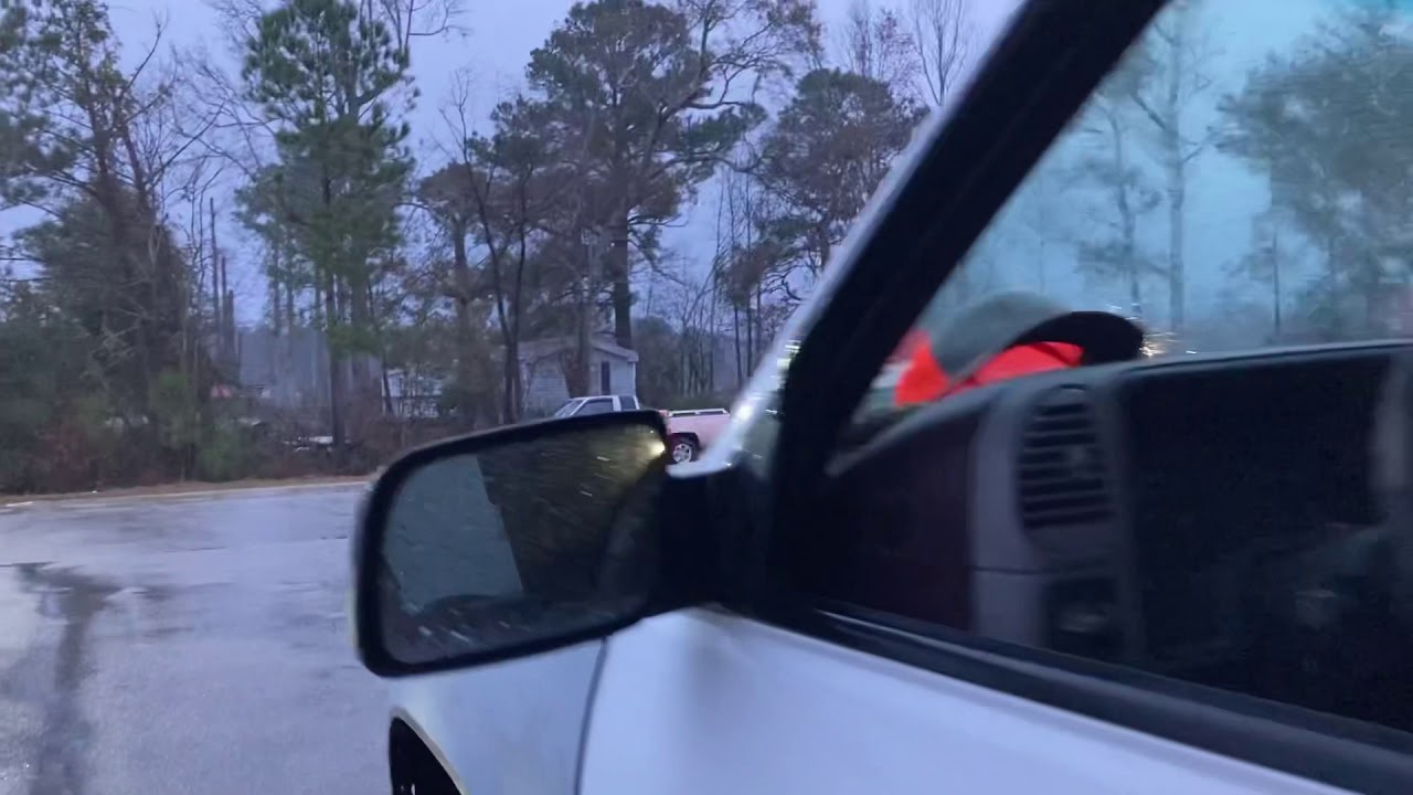 Deer Hunting With Hounds Eastern NORTH CAROLINA on PUBLIC LAND - YouTube