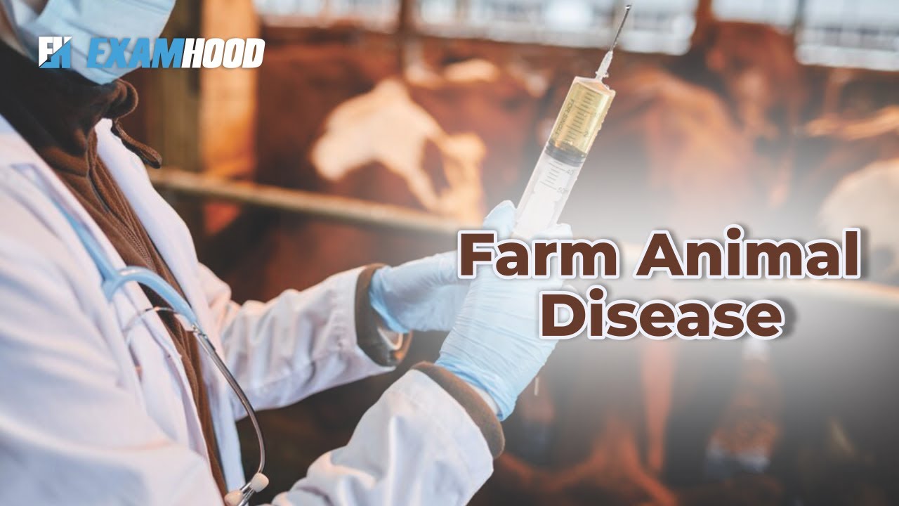 Farm animal disease - YouTube