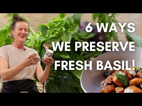 How To Store Fresh Basil Plant