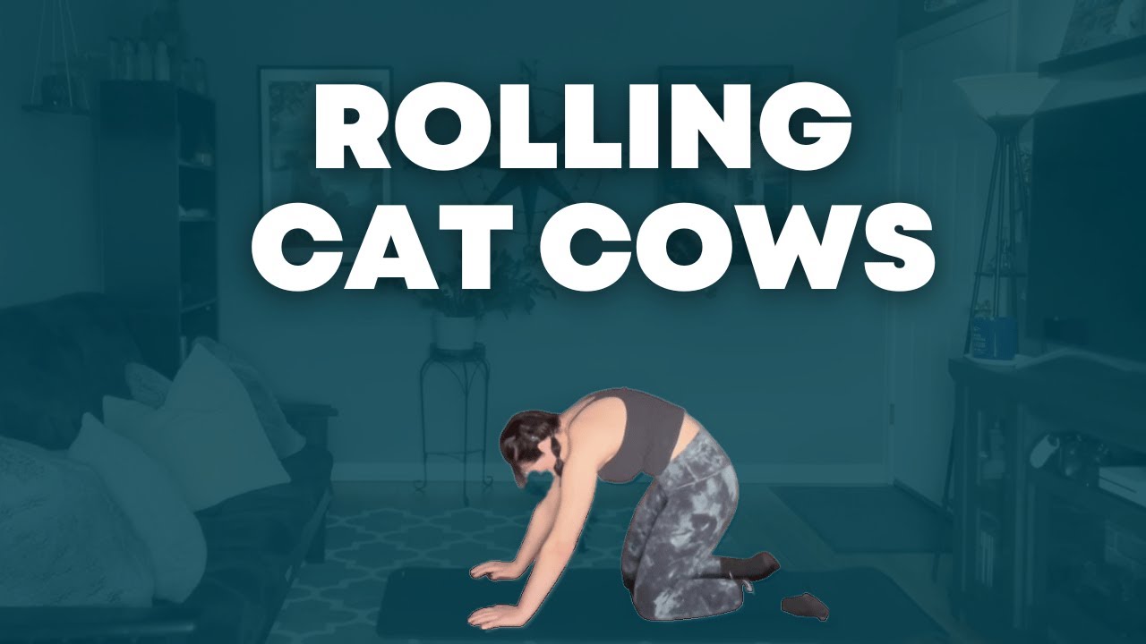 Rolling Cat-Cow | Spinal Mobility & Nervous System Reset - YouTube