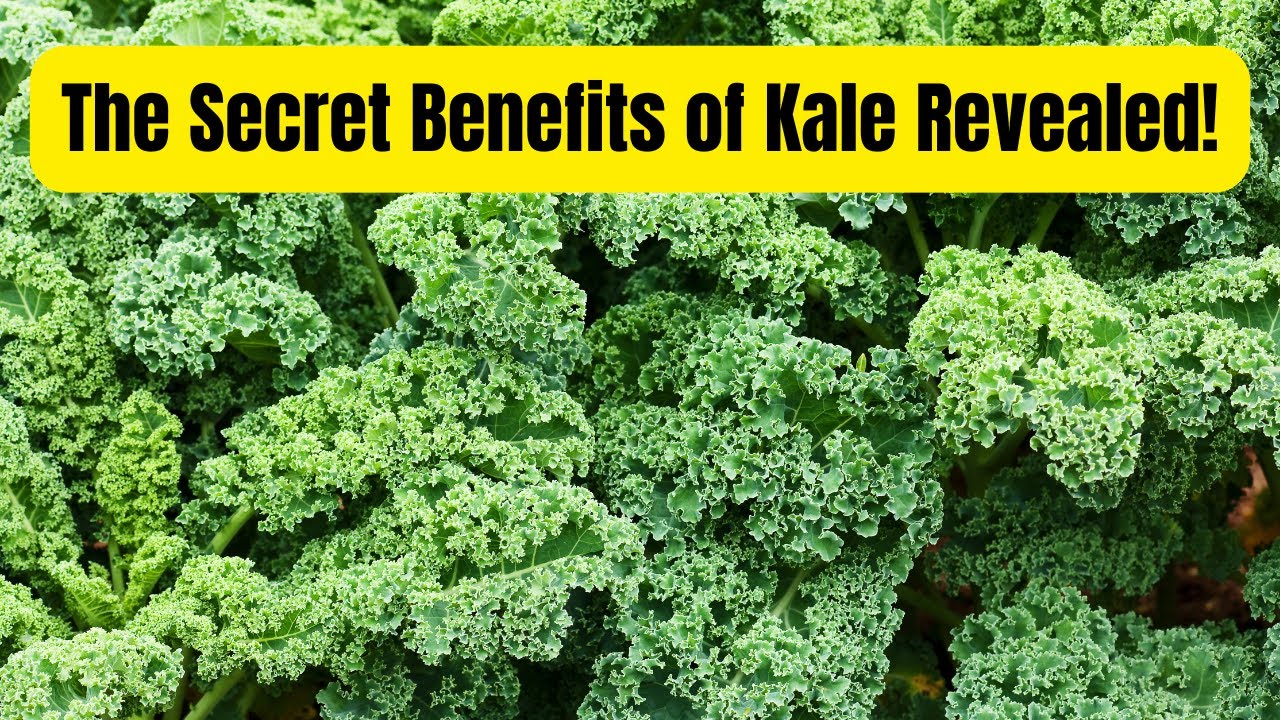Health Benefits of Kale and Leafy Greens Explained | Nutrition, Uses ...