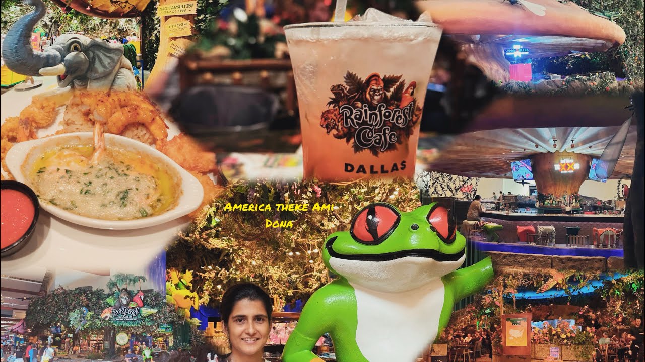 জঙ্গলের ভিতরে Magical Restaurant Experience! Rainforest Cafe Vlog ...
