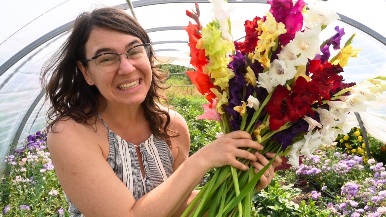 1000 Gladiolus Are Blooming! Fun With Flowers - YouTube