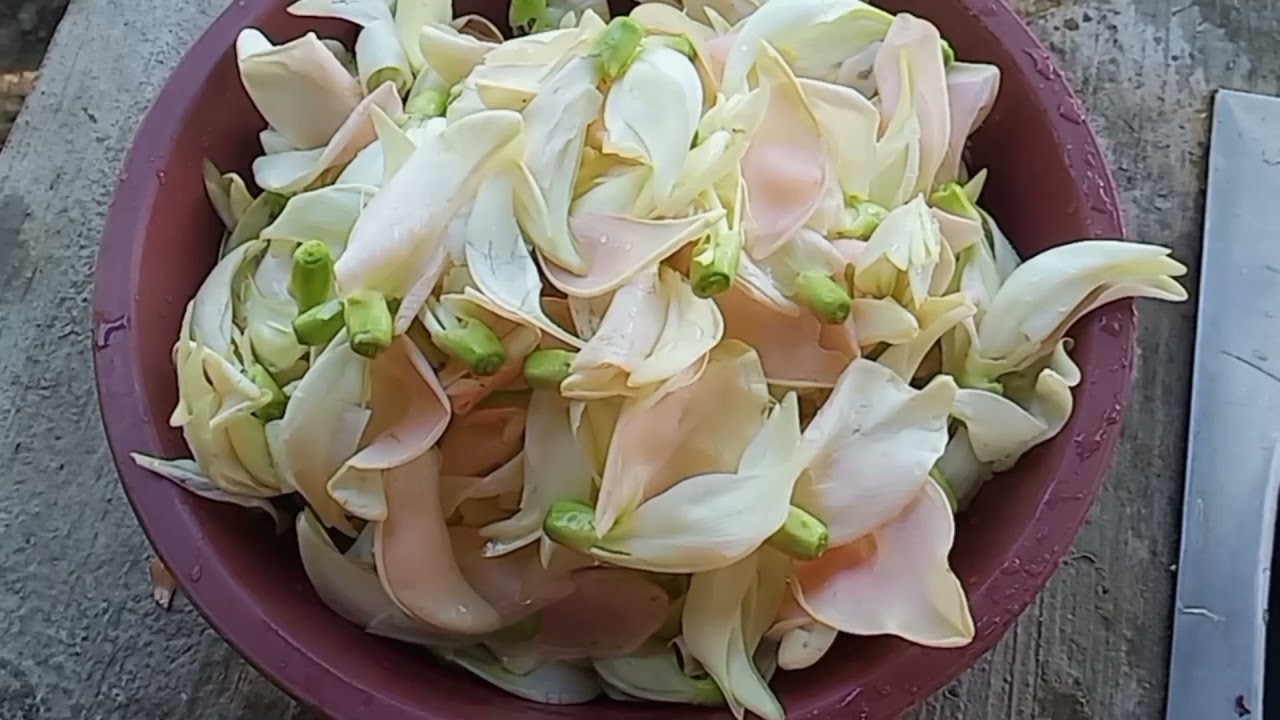 How To Cook:Burong Isda With Katuray - YouTube